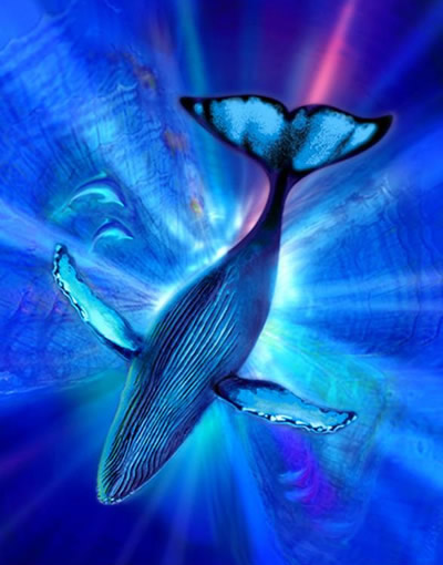 aprendiendo de las ballenas: la ballena azul
