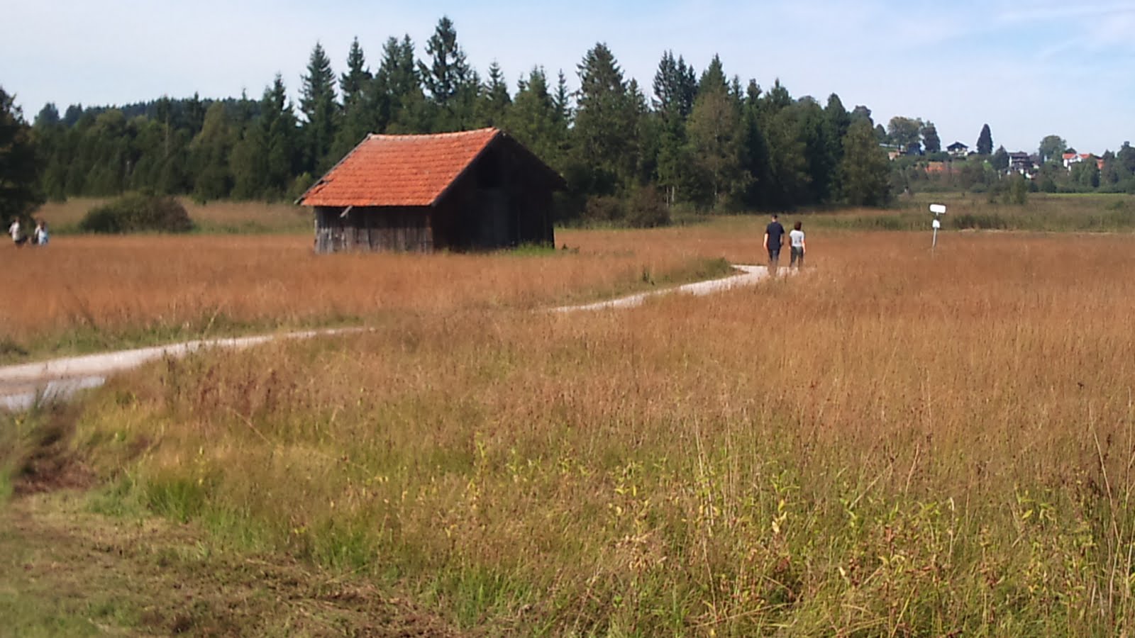 Sousies tägliche Gedanken: Am Staffelsee