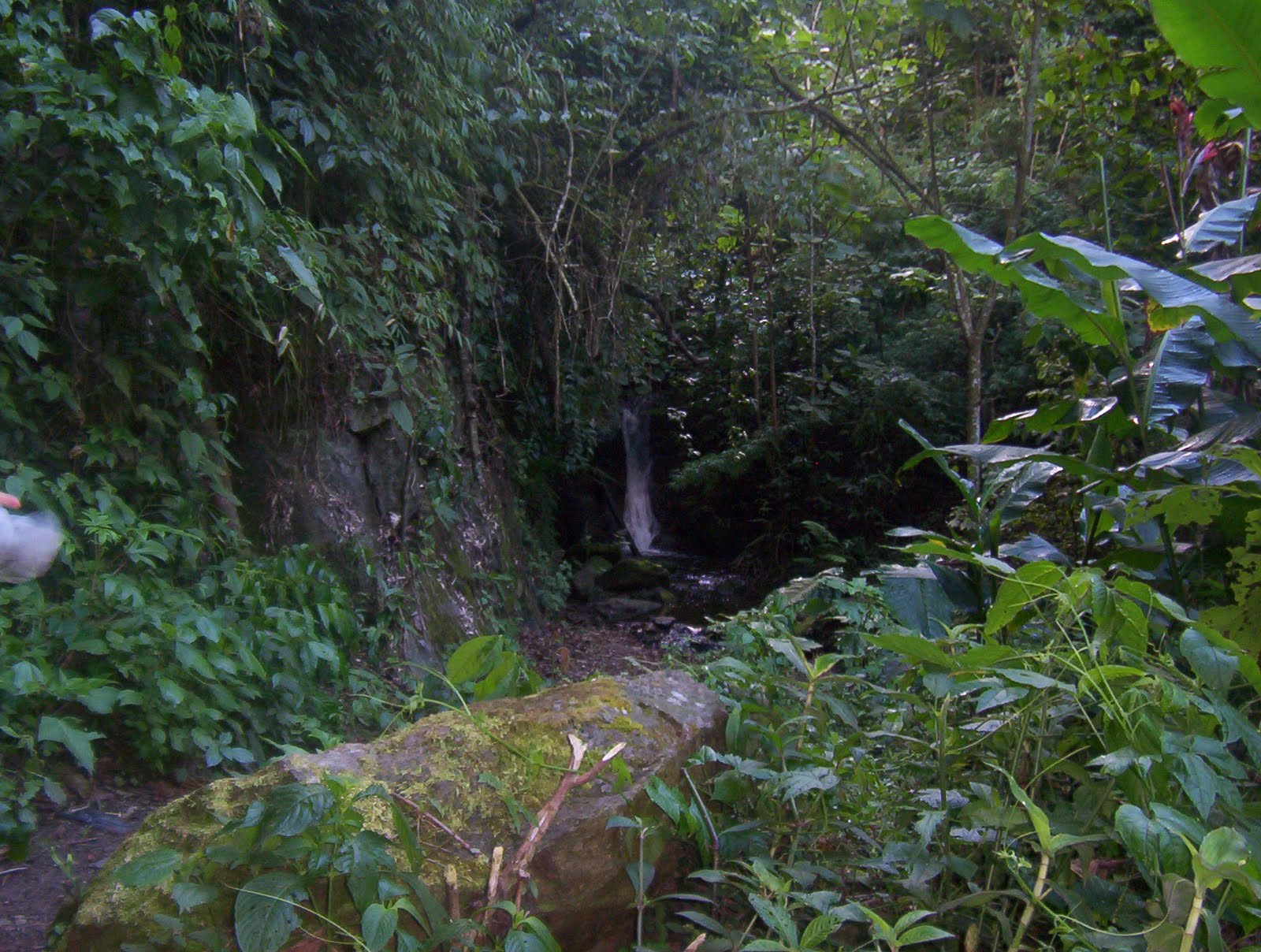 Parque Nacional El Ávila: El Paraiso