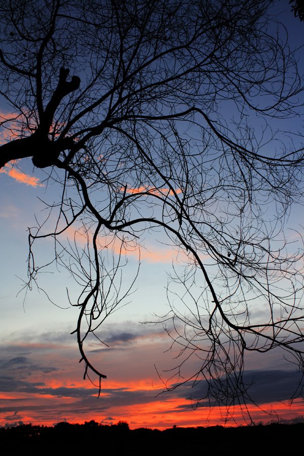 Blogthography: Ranting-Ranting Kering