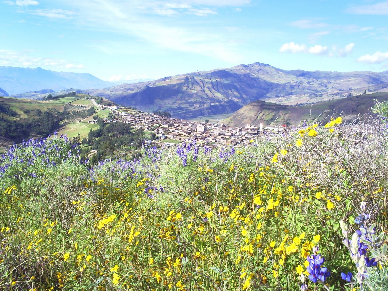 Capulí, Vallejo y su Tierra-TRUJILLO/PERU.: ASISTENCIA A CAPULÍ 11 DE ...