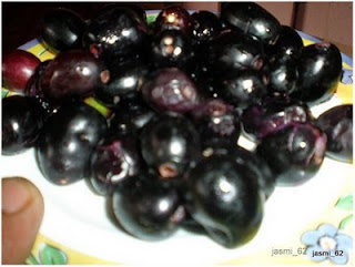 Nature Miracle: KERIANG TREES