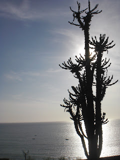 SANGANO RESORT | RESTAURANTE GOLFINHO