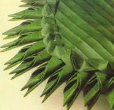 Terkeren 10+ Gambar Lipatan Daun Bunga Telang - Gambar Bunga Indah