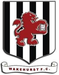 The Boys in Black and White: Wakehurst FC (Northern Ireland)