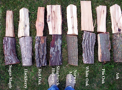 Firewood Information, Firewood Photos, Firewood Pictures: March 2009