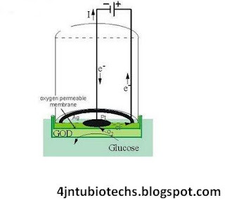 Biotechnology Blog 4 JNTU B.Tech Students: AMPEROMETRIC BIOSENSORS