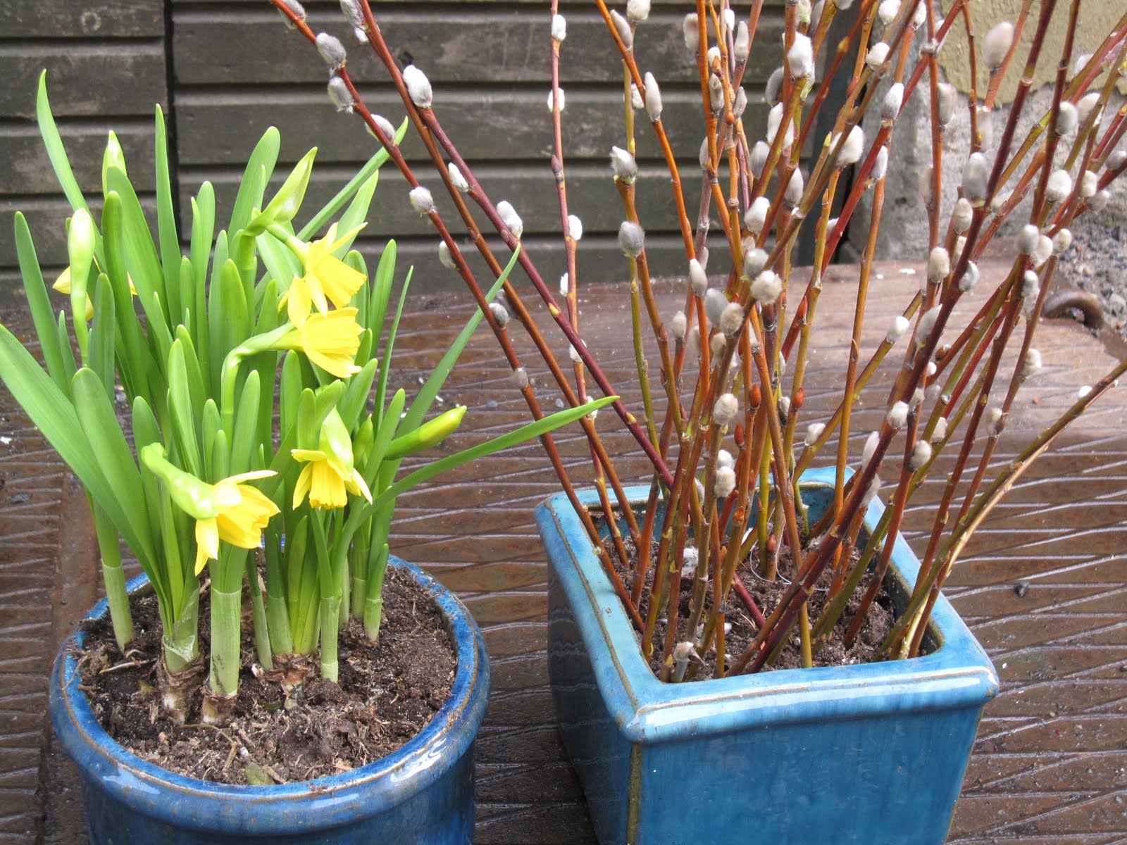 threewishesonly: KEVAD TULI