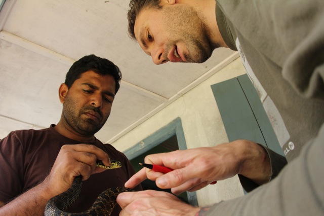 The Gerry Martin Project: Arunachal Reptile Survey - September, 2010