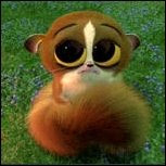 DI.TE.LA. - Uniti: "Mortino" ... in Madagascar 2