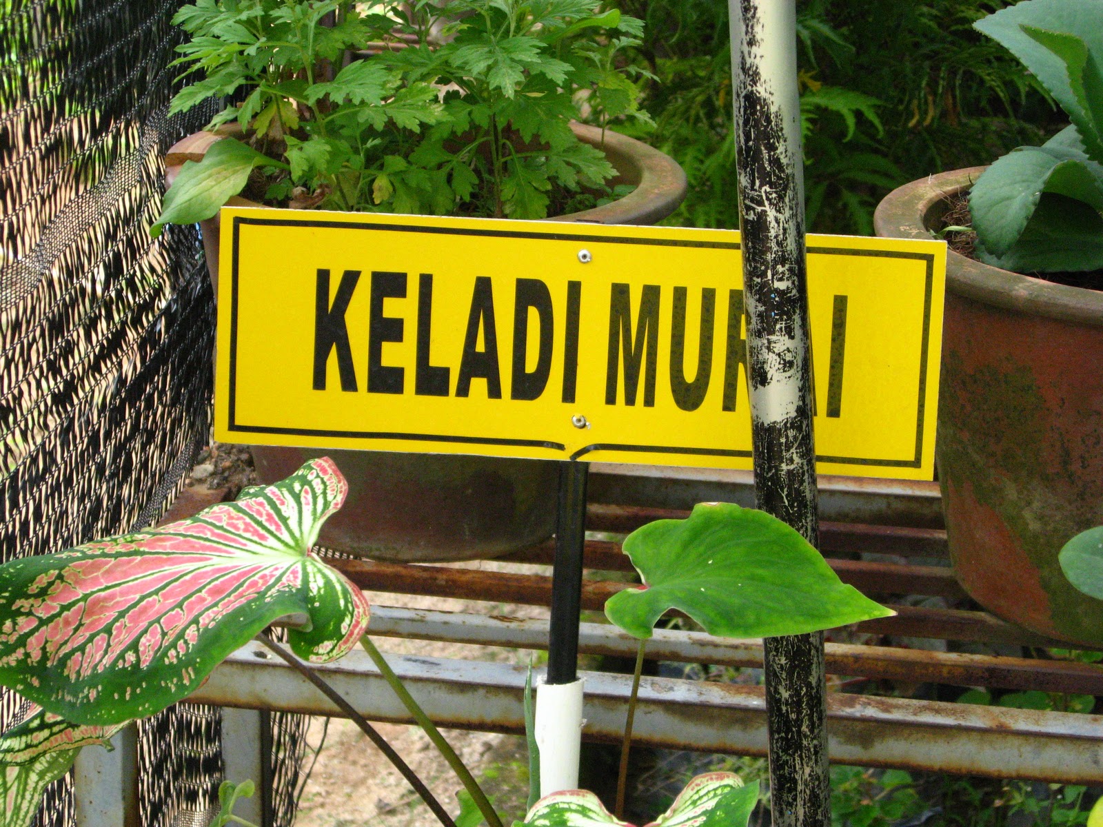 Contoh Taman Herba Di Sekolah - Art Mas Jeck