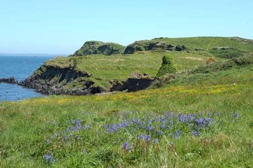 Celtic Memory Yarns: Roan Inish Rediscovered