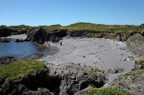Celtic Memory Yarns: Roan Inish Rediscovered