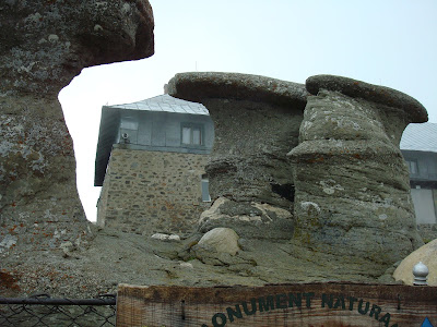 Adevărul de pretutindeni: PE PLATOUL BUCEGI MAI APROAPE DE CER (Partea I)