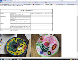 Mr. Brown's Teaching Blog: Biocorner Project rubric/idea