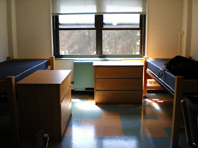 Adelphi Student Life: How to Ease the College Blues