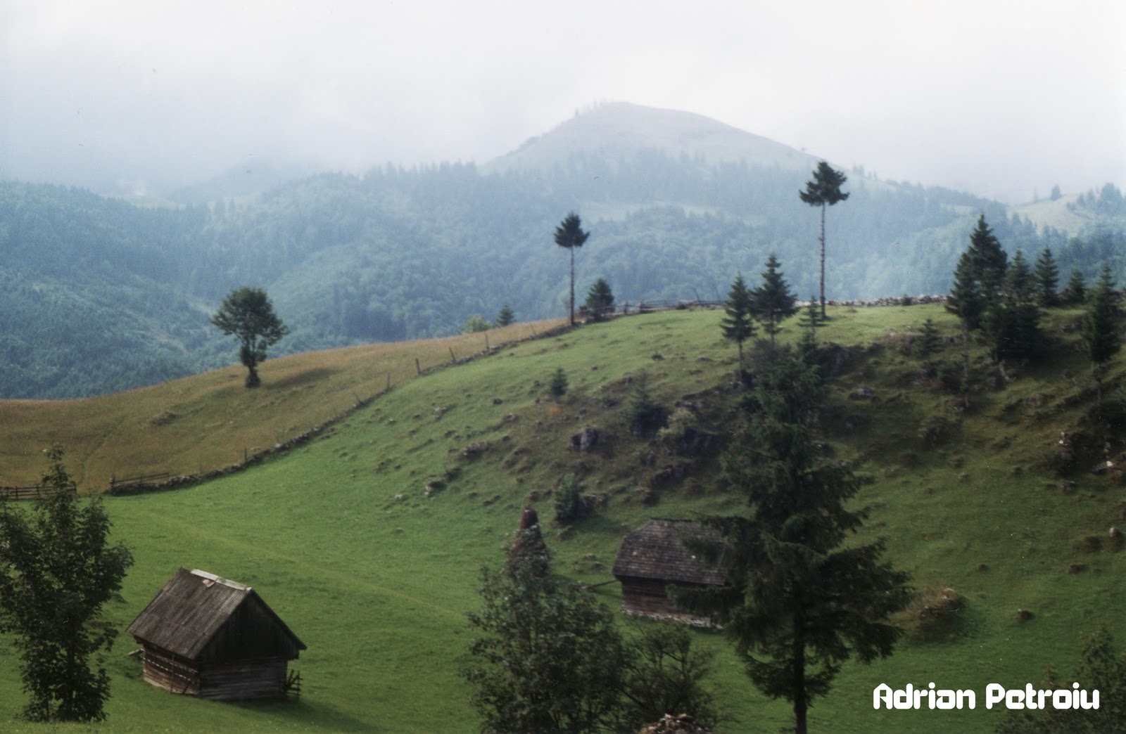 Adipetroiu Blog sau Munte, fotografii si pasiuni: Poze scanate
