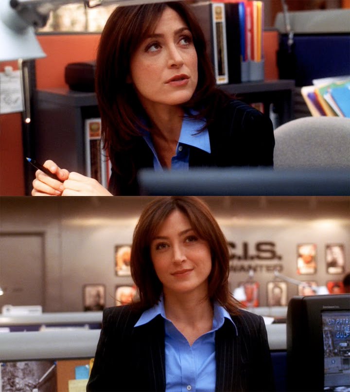 Kate Todd Ncis Gun