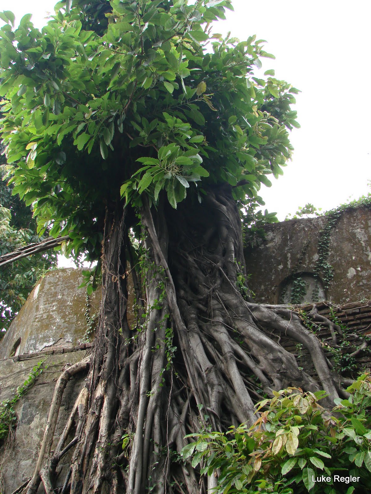 Jakarta News : May 2010