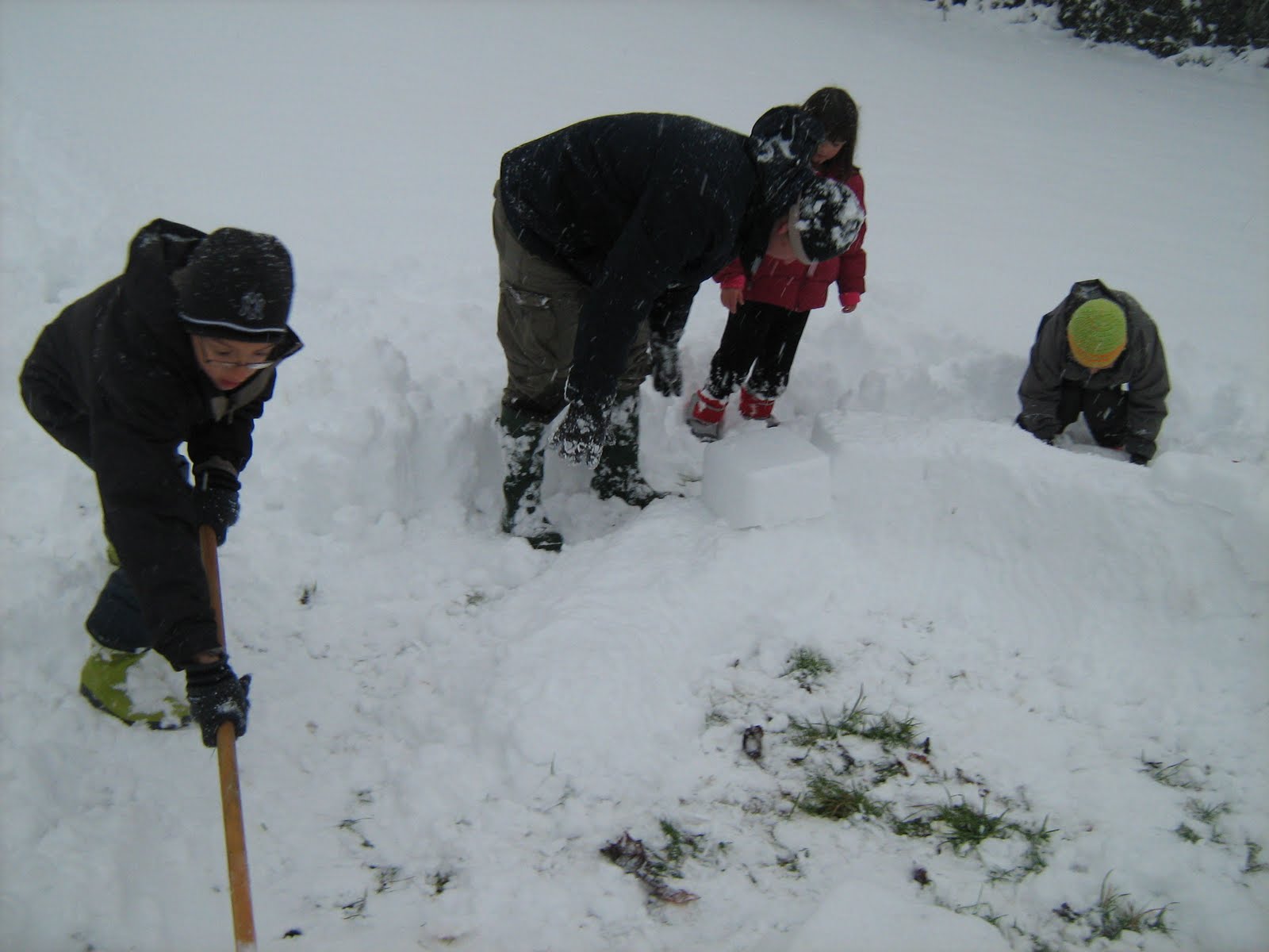 pheasants, frogs and banana bread: We made an igloo!!!!!