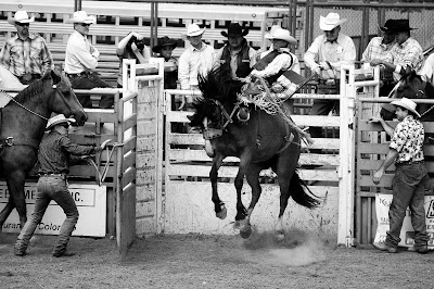 Molly Bowes: Fiesta Days Rodeo, Durango, Colorado