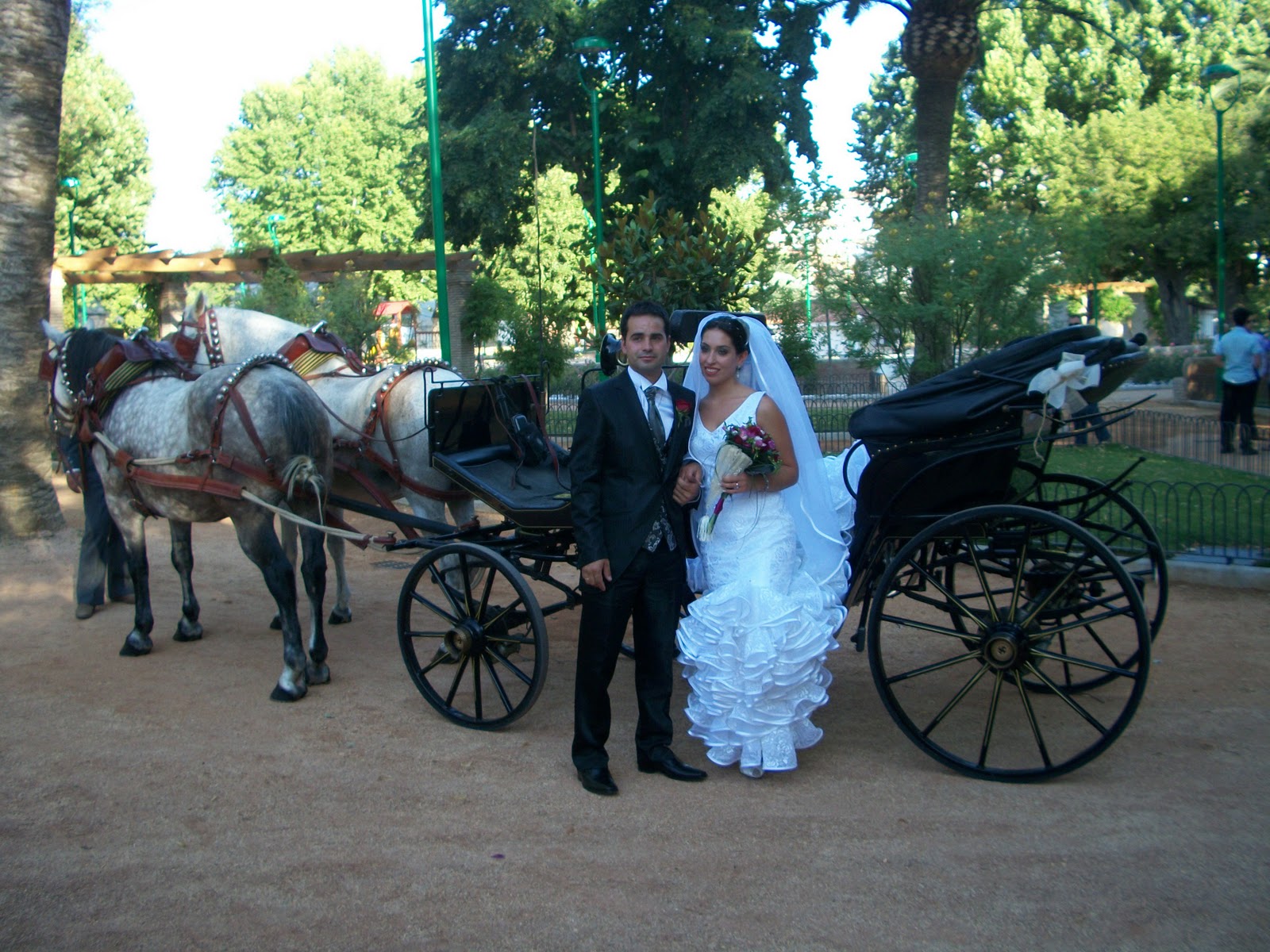 Magia a caballo: CARRUAJE DE CABALLOS PARA BODAS Y OTROS EVENTOS