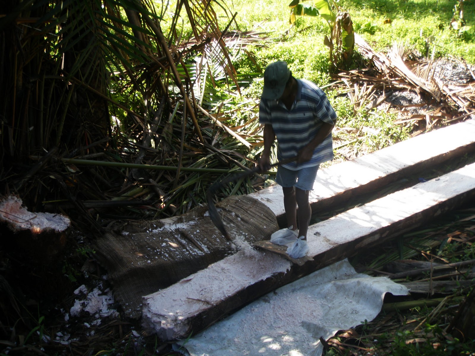 Palagsing: Butuanon Delicacy: Methodology