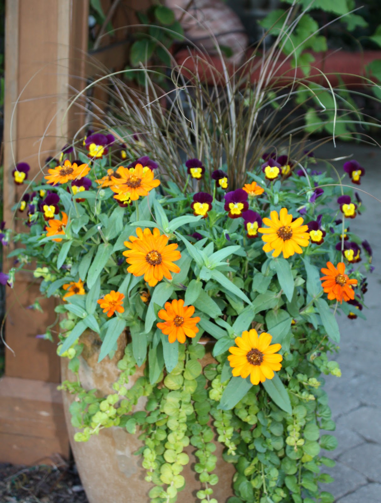 Gatsbys Gardens: Fall Is Just Around the Corner