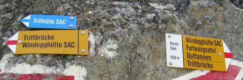 Marianne's Wanderblog: Triftbrücke (10.7.2010)