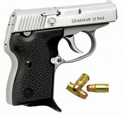 .25 cal. guardian | The Firearms Forum