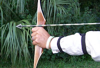 The Rasch Outdoor Chronicles: The Range Reviews: Muzzy Phantom MX Broadhead