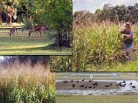 The Rasch Outdoor Chronicles: A Chronicles' Interview: Bo Parham of ...