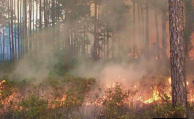 The Rasch Outdoor Chronicles: A Chronicles' Interview: Bo Parham of ...