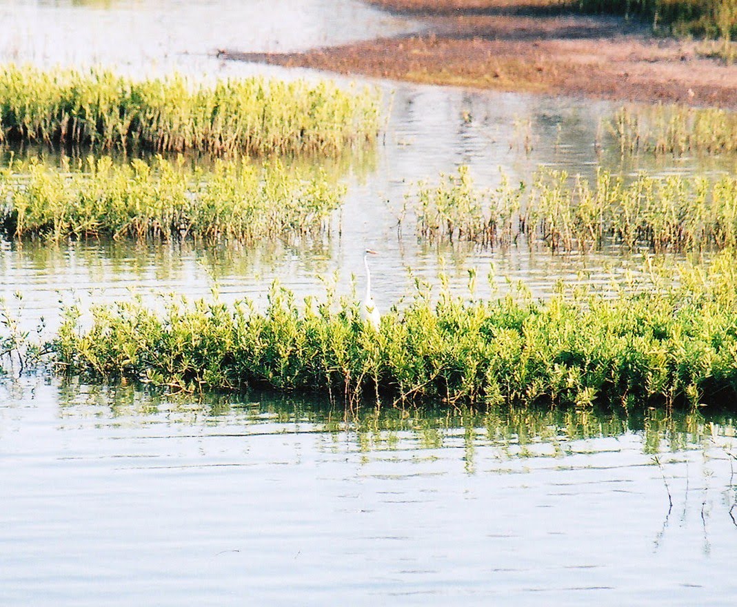 The Rasch Outdoor Chronicles: A Chronicles' Interview: Bo Parham of ...