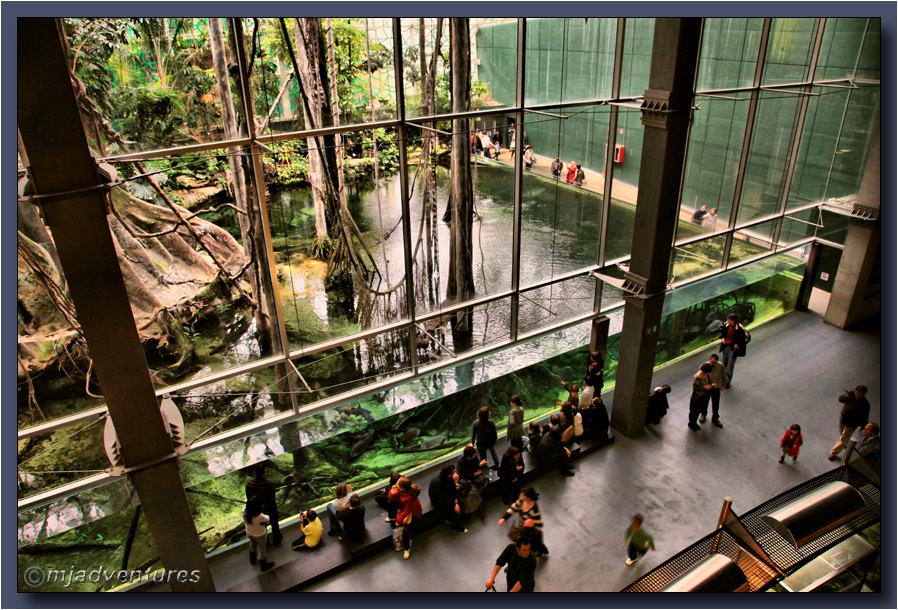 CosmoCaixa - Barcelona's Science Museum ~ M and J Adventures