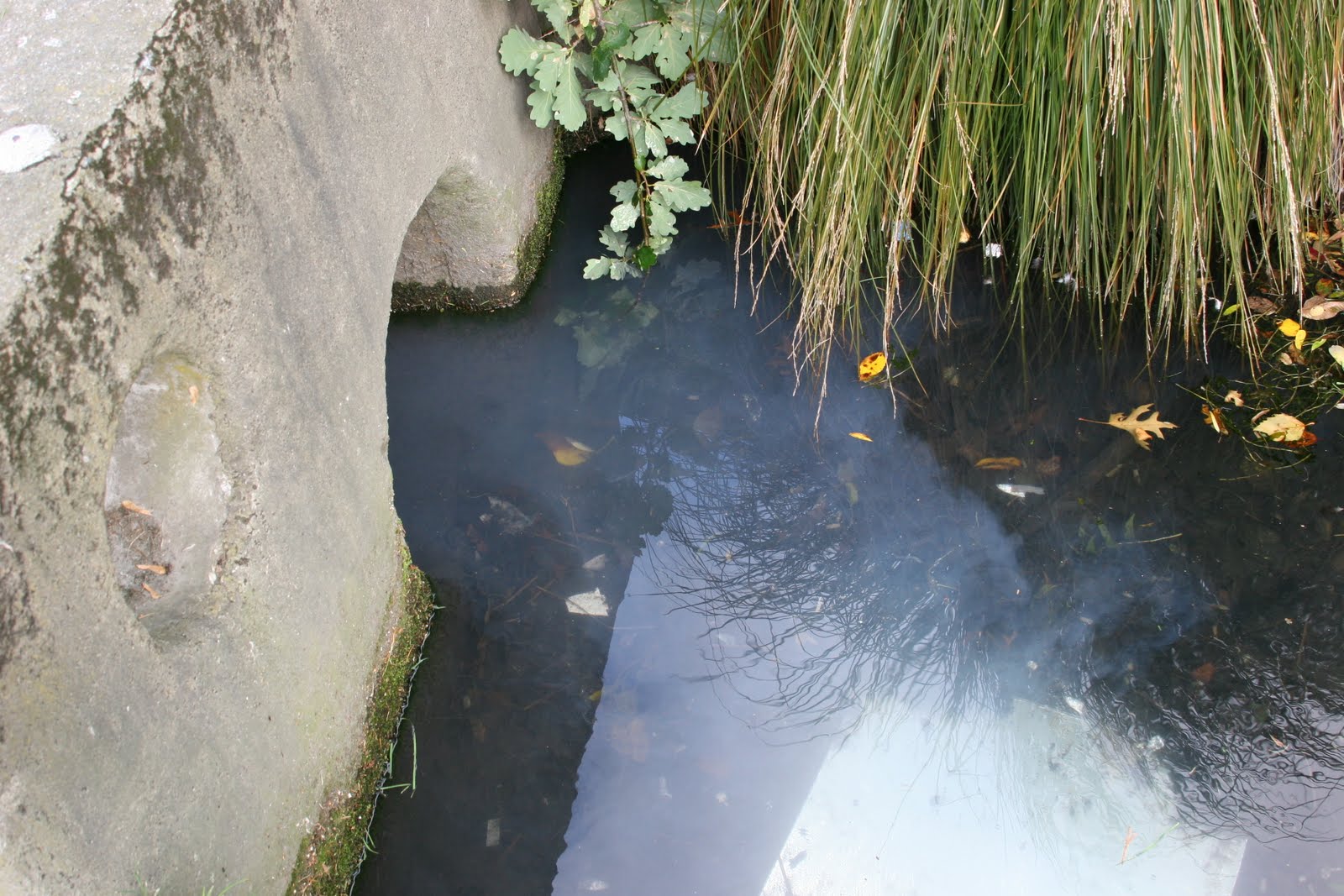 Ikawai - Waters of fish- Peter Langlands- Environmental photo ...