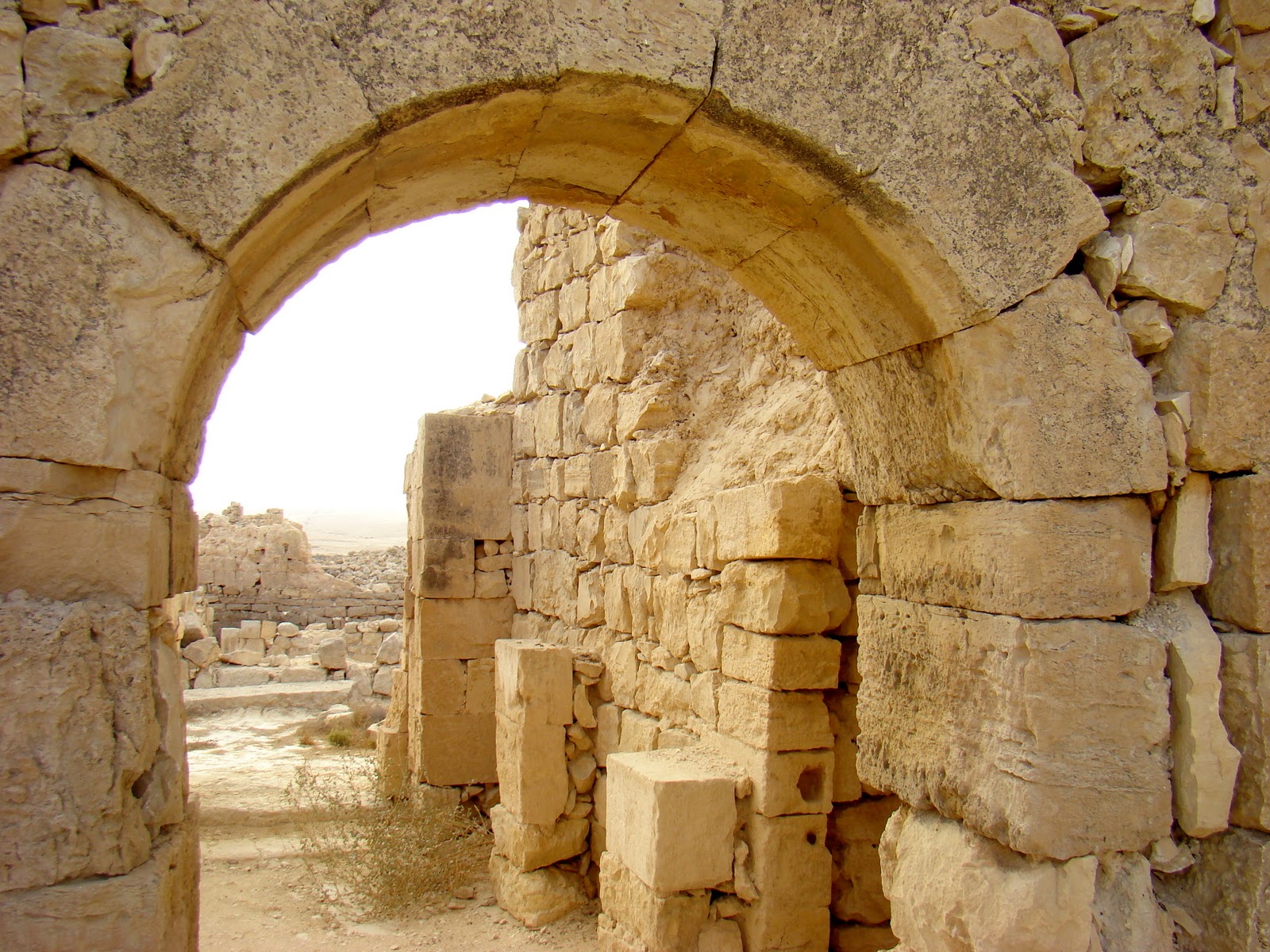 PazzaPazza: SHIVTA - שבטה