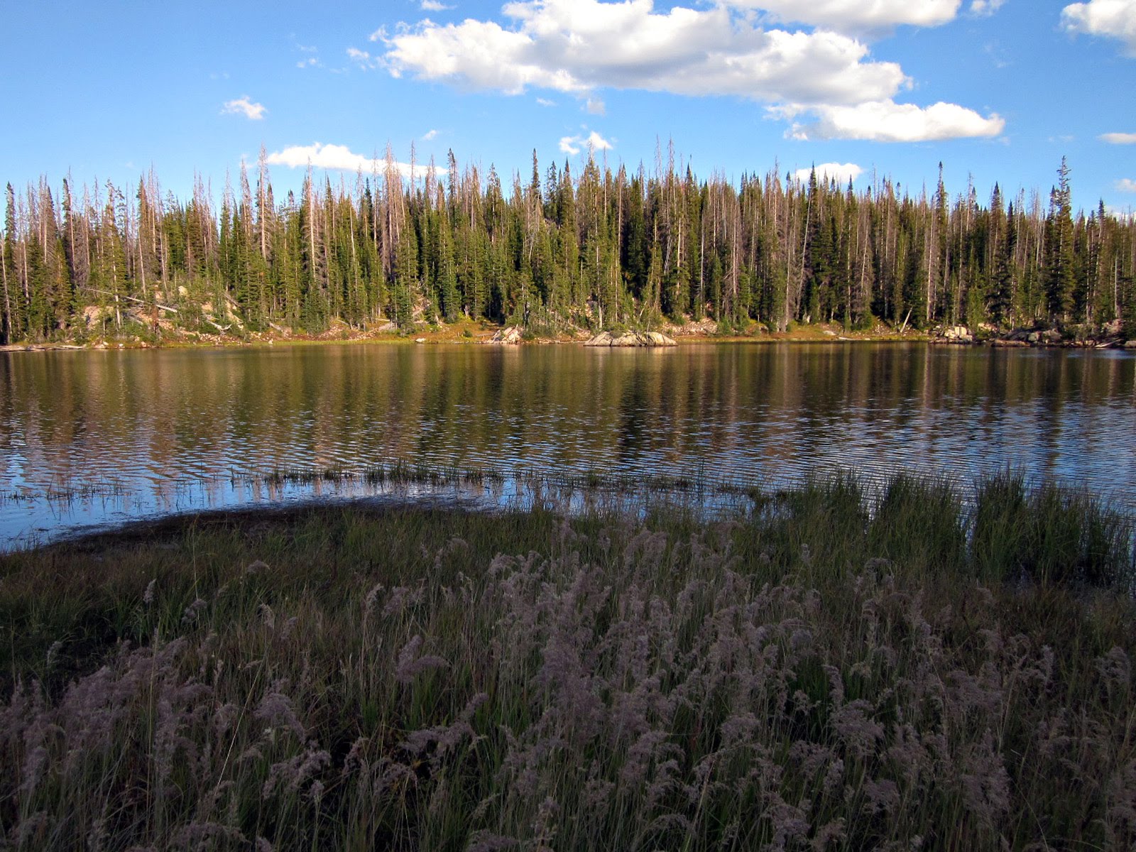 Scrapper Blackwell: Jonah Lake