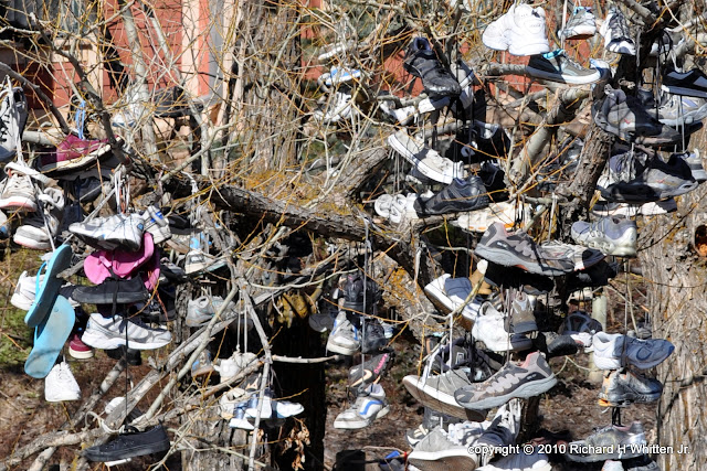 What Am I Doing?: The "Shoe Tree" in Park City, Utah