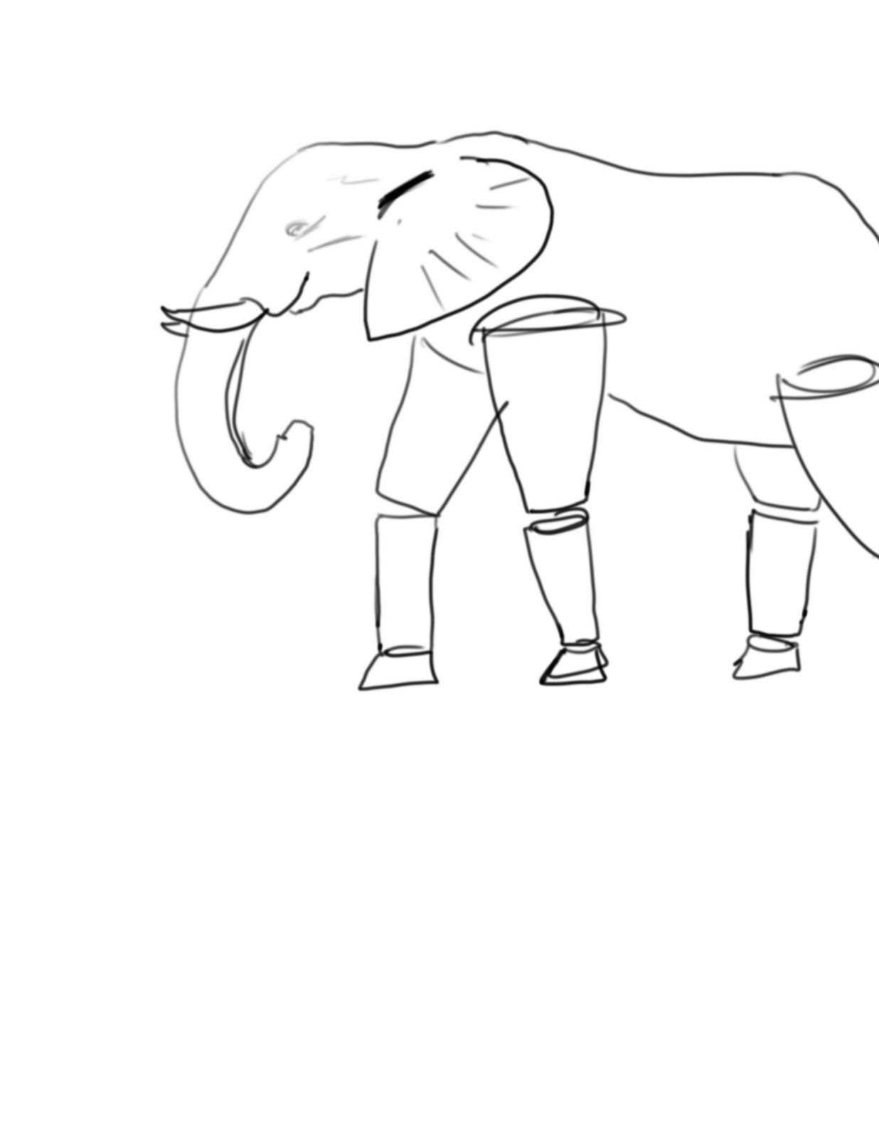 Ashby Animation: Understanding the basic shapes of an elephant
