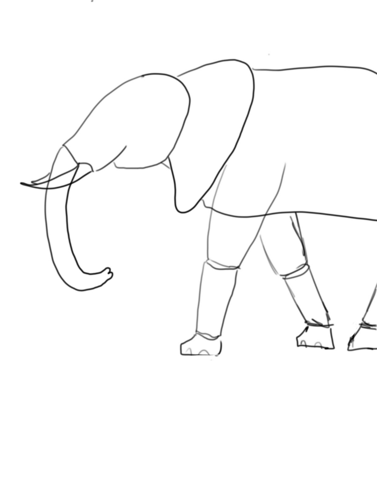 Ashby Animation: Understanding the basic shapes of an elephant