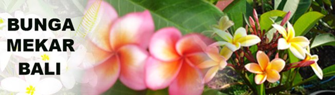 Gaya Terbaru 31+ Bunga Bali