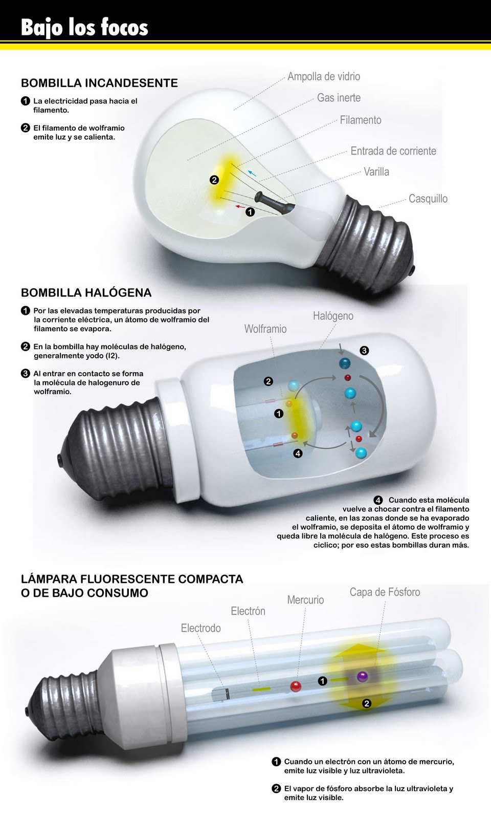 alexpolanco 3d: Infografia - Bajo los foco