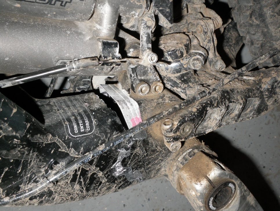 Busted Carbon: Busted Ransom