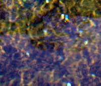 KL THIS MONTH: Setapak Hot Springs