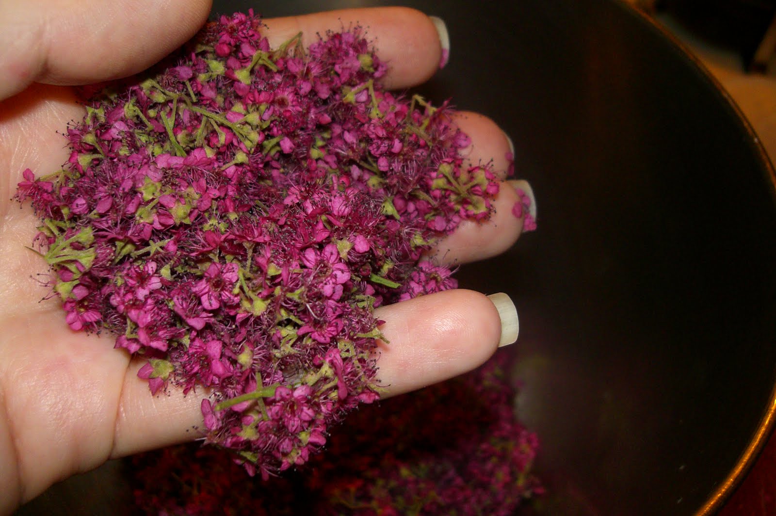 Hey, Baby!: Ink made from flower petals