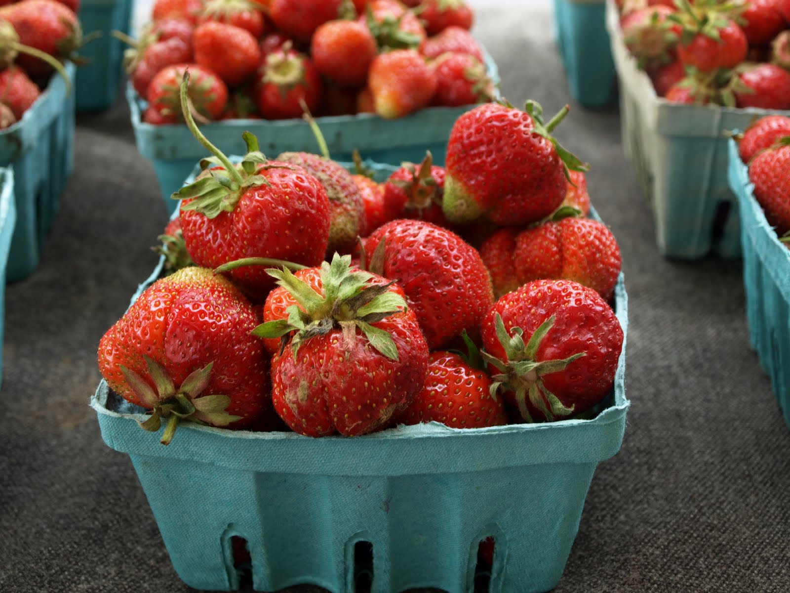 Photos: June 2010 at the Greenmarket