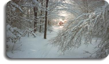 From City to Suburbia: Bucksteep Manor