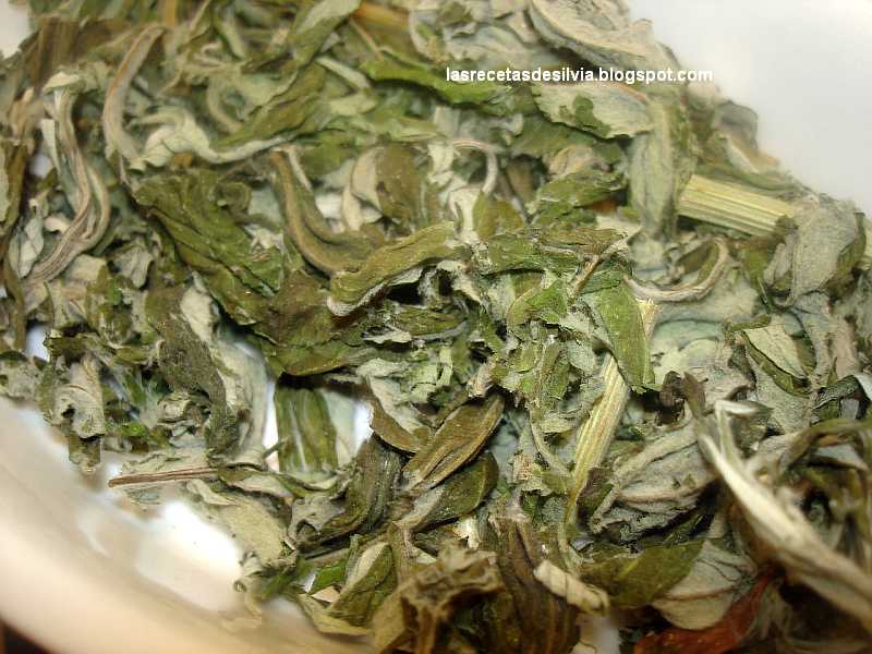 Las recetas de Silvia: Rico té de matico y bayas Goji