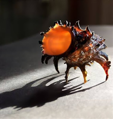 Events and Gossips: Collection of very strange shells